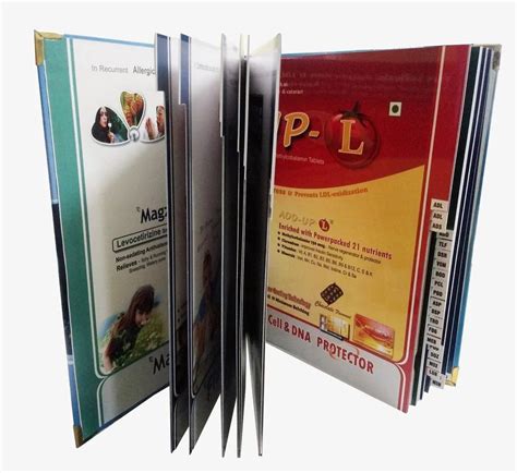 Visual Aid Designing Services Size A3 In Nabha Id 2852892425462