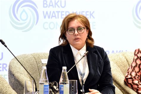 Azerbaijan to address water scarcity challenge with COP29 participating ...