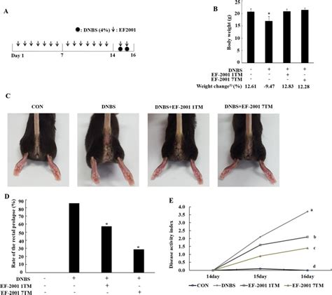 Enterococcus Faecalis Ef 2001 Protects Dnbs Induced Inflammatory Bowel Disease In Mice Model Pmc