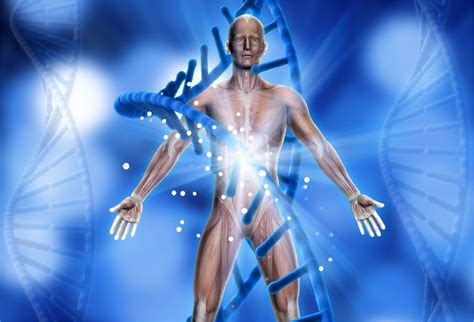 Rare Cell Analysis A Deep Dive Into Cellular Health Absolute Health