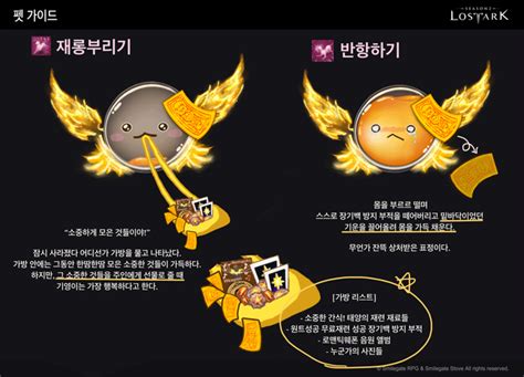 Kr Art Competition Mount And Pet Intermediate Result Rlostarkgame