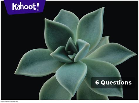 Ap Biology Chapter 27 Bacteria And Archaea Kahoot Quiz