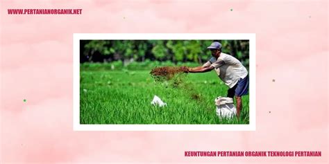 Teknologi Pertanian: Inovasi Terbaru di Bidang Pertanian - Pertanian Organik