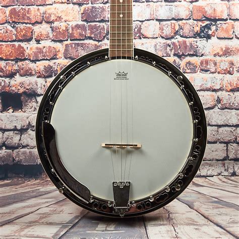Washburn B11k 5 String Resonator Banjo Reverb Luxembourg