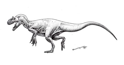 Allosaurus Fragilis By Xiphactinus On Deviantart