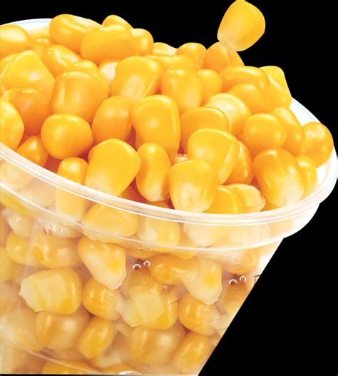 Download Fresh Sweet Corn Kernels Container