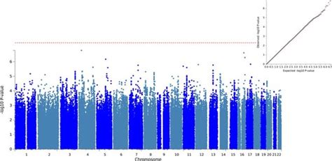 Common Genetic Variants Contribute To Heritability Of Age At Onset Of