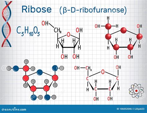 Ribose Cartoons Illustrations And Vector Stock Images 550 Pictures To Download From