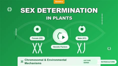 Live Lecture 27 Sex Determination In Plants By Antra Thada Genetics Notesculture Youtube