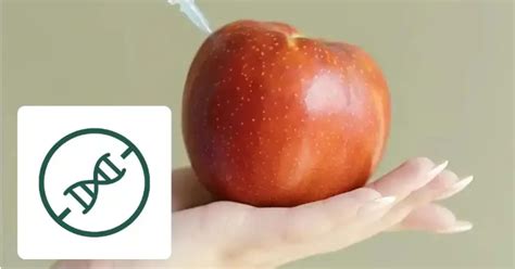 Gmo Free Certification Nedstar