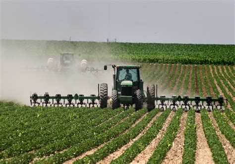 Usda Increases Corn Drops Soy Estimates The Western Producer