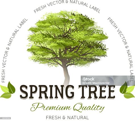 Tree Typography Logo Emblem Stock Illustration Download Image Now