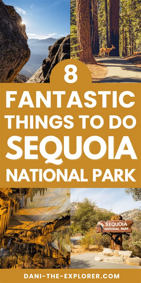 8 Amazing Things To Do In Sequoia National Park In 2025 Dani The