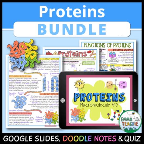 Proteins Bundle Emmatheteachie