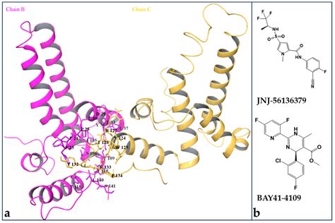 Computational Approaches To Predict Hepatitis B Virus Capsid Protein Mutations That Confer