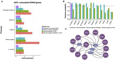 frontiers multi omic directed networks describe features of gene