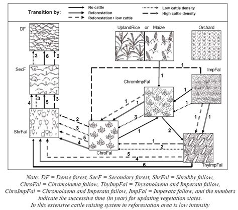 Vegetation State Transition Diagram With Integrating The Imperata