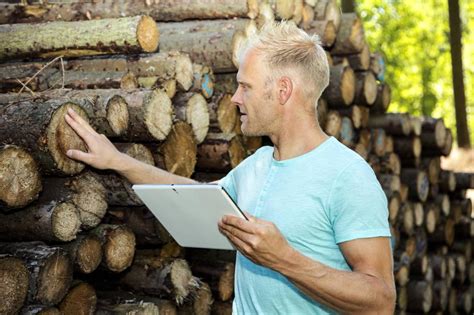 Gewichtseinheiten für Holz | hoftechnik.com