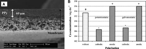 A Sem Cross Section Of A Ppy Coated Mf Membrane Polyethersulfone Download Scientific