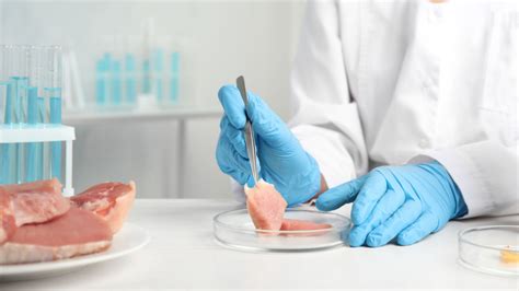 How To Plan For Microbiological Testing Safefood