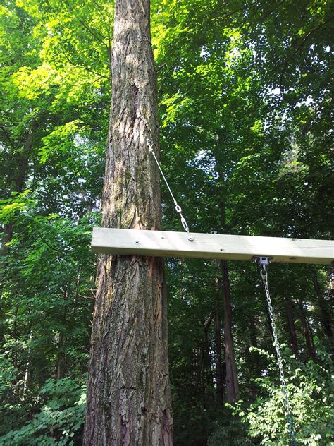 Chads Workshop Swing Between 2 Trees