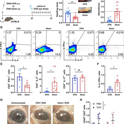 Th1 And Th2 Skewing Of The Adaptive Immune Response In The Ocular Download Scientific Diagram