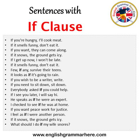 sentences with if clause if clause in a sentence in english sentences