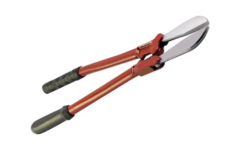 Premium Photo Nipper Isolated On A White