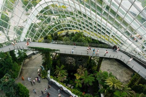Gardens By The Bay Singapore Everything You Need To Know In 2022