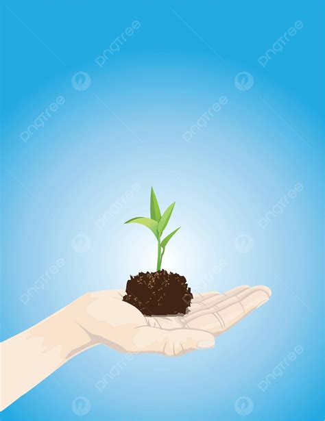 Holding A Plant Bud Isolated Seedling Vector Bud Isolated Seedling