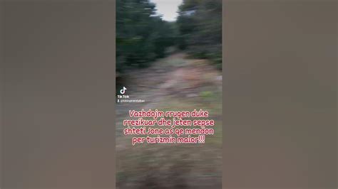 Mbledhja E Boronices Ne Malet E Kukesit ⛰️🫡 Nature Youtube