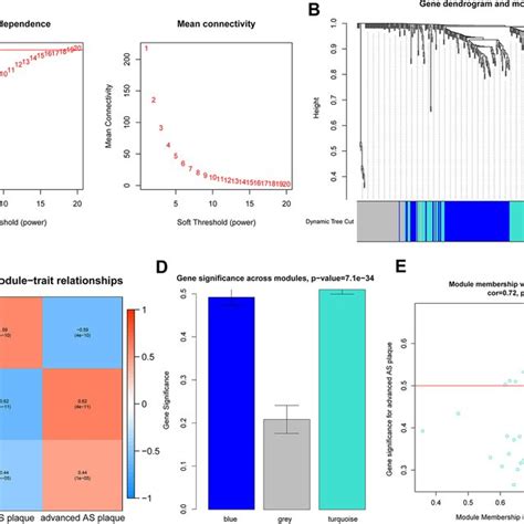 Weighted Gene Co Expression Network Analysis Revealed Gene