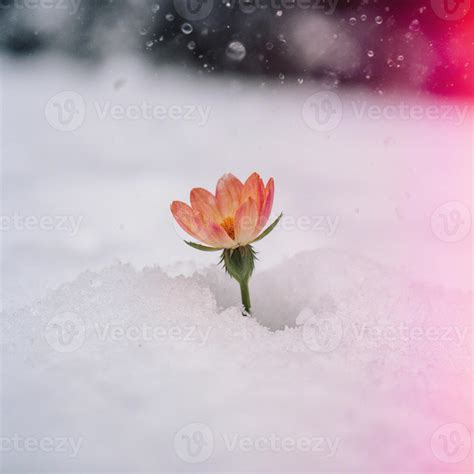 A Visual Metaphor For Perseverance And New Life In Adversity 73311328