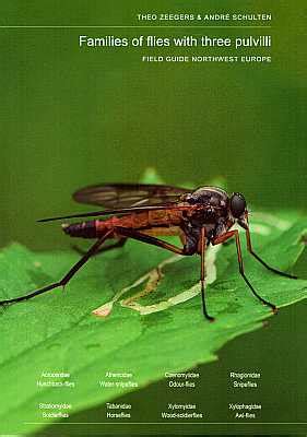 Field Guide To Flies With Three Pulvilli Families Of Homeodactyla Of