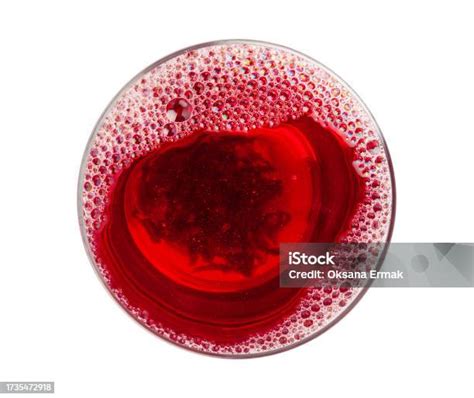 히비스커스 차 드라이 로즈 드링크 투명 머그잔에 담긴 차가운 과일 홍차 로젤 히비스커스 차 0명에 대한 스톡 사진 및 기타 이미지 Istock