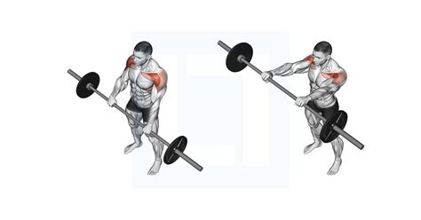 Cable Front Raise Guide Benefits And Form
