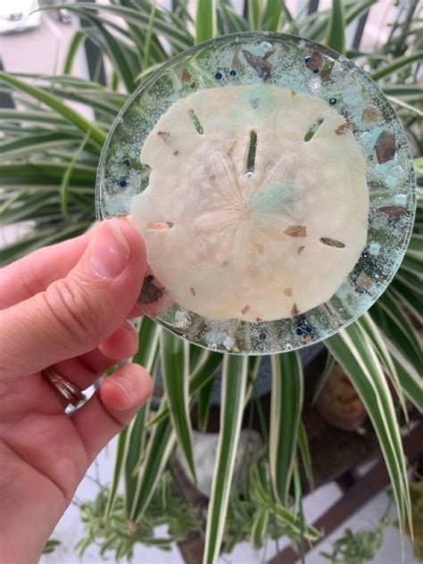 Resin Sand Dollar Coasters Sand Dollar Craft Sand Crafts Sand Dollar Art