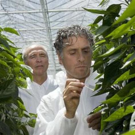 Examples Of Limitations Of A Study Synonym