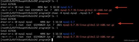 Linux服务器安装mysql步骤详解服务器上如何装mysql Csdn博客