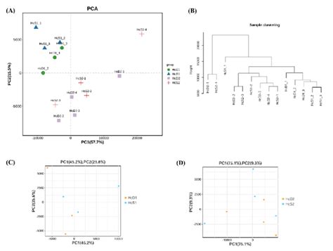 Sample Relationship Analyzed By Principal Component Analysis Pca And