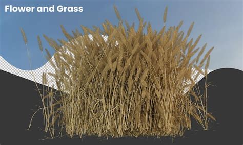 Premium Psd Various Types Of Dried Plants Grass Bushes Shrub And Small Plants Isolated