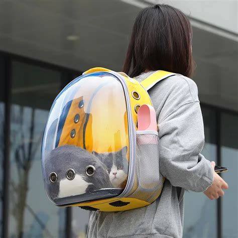 Cat Travel Backpack With Window At Wilbur Pritt Blog