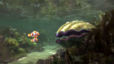 Finding Dory The Clam Scene Youtube