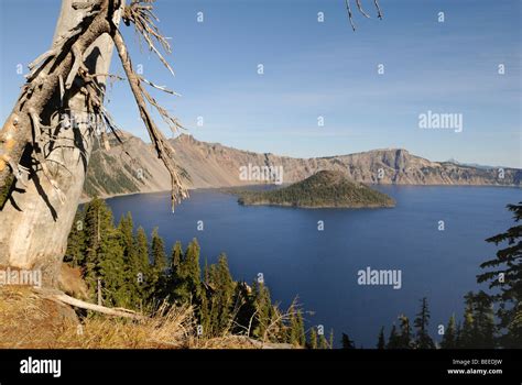 Crater Lake Of The Mount Mazuma Volcano Wizard Island Crater Lake National Park Oregon Usa