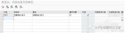 sap s 4 bp 编号范围和分组 sap liumeng 的技术博客 51cto博客