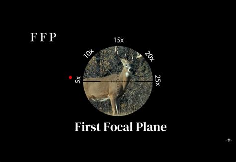 Ffp Vs Sfp Difference Which Is Better For Long Range Hunting