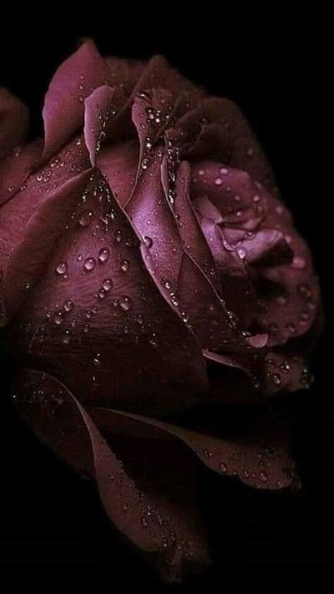 Cama Branquinha E Confortável Bed Comforters Sheets