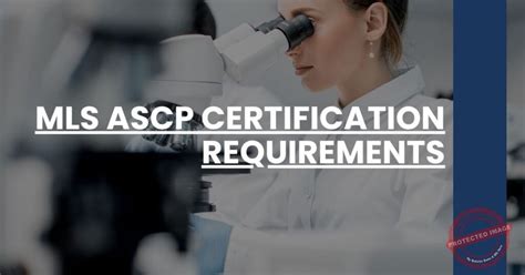 Mls Ascp Certification Requirements Med Lab Prep
