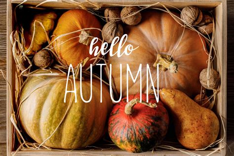 [100 ] Hello Fall Wallpapers