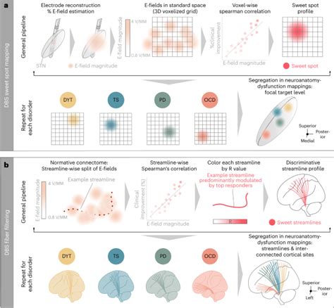 使用脑深部刺激绘制额叶皮层中功能失调的回路nature Neuroscience X Mol